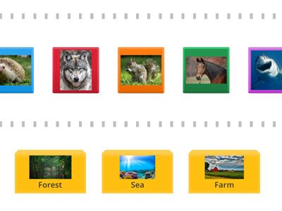 Animals Habitats - Teaching resources