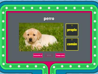 Sustantivo comunes y propios - Unterrichtsmaterialien