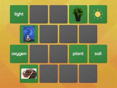 Plants Games - Teaching resources
