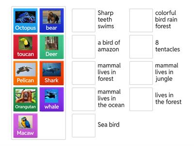 Animals Habitat - Teaching resources