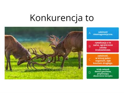 Konkurencja - Materiały dydaktyczne
