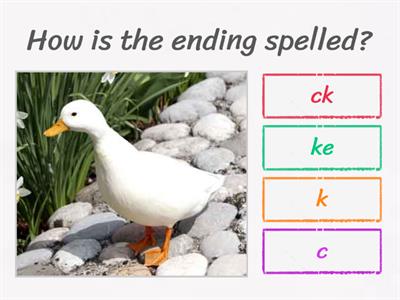 K c ck ke words - Teaching resources