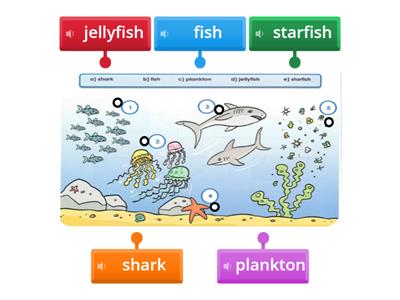 Sea creatures - Teaching resources