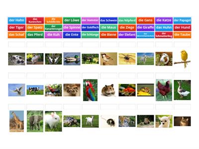 Tiere im zoo - Materiały dydaktyczne