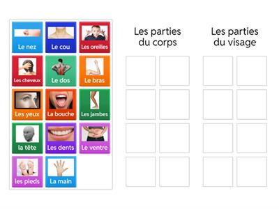 Parties du corps - Ressources pédagogiques