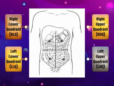 Abdominal quadrants - Teaching resources