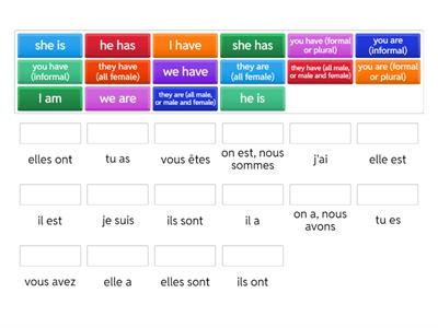 Etre and avoir practice - Teaching resources