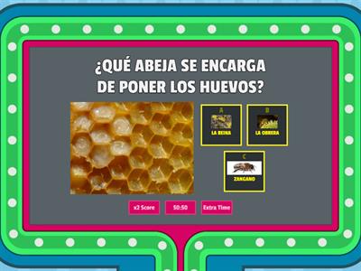 Abejas - Recursos didácticos