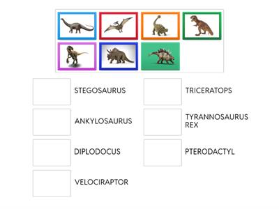 Dinosaurs - Risorse didattiche