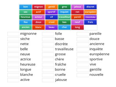 Adjectifs masculin et féminin - Ressources pédagogiques