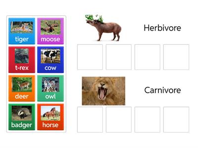 Herbivore carnivore omnivore - Teaching resources