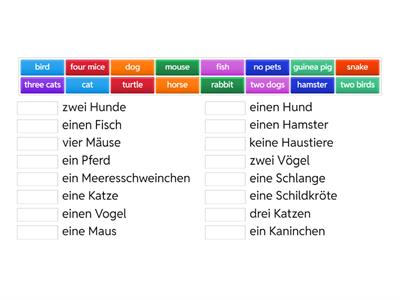 Haustiere - Teaching resources