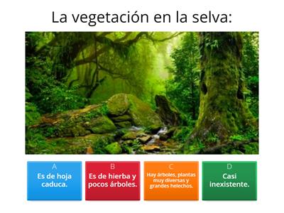 Ecosistemas terrestres - Recursos didácticos