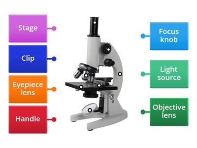Microscope - Teaching resources