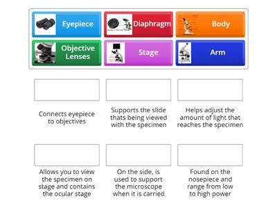 Microscope - Teaching resources