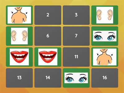 Body Parts memory game - Recursos didácticos