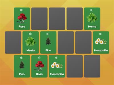 Juego de plantas ornamentales - Recursos didácticos