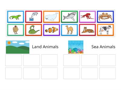 Sea creatures - Teaching resources