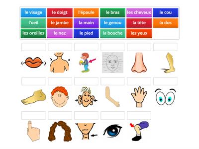 Parties du corps - Teaching resources