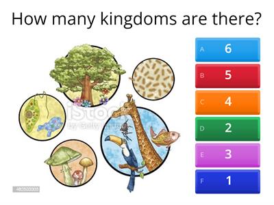 Five kingdoms - Recursos didácticos