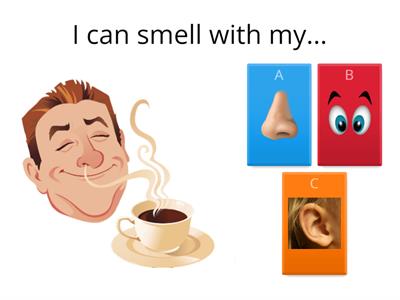 Hear see smell touch taste - Учебные ресурсы