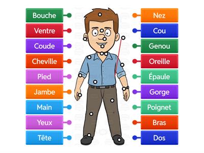 Les parties du corps des animaux - Ressources pédagogiques