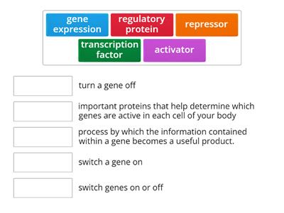 Gene mutations - Teaching resources
