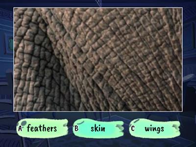 Oxford discover 1 unit 8 - Teaching resources