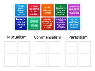 Symbiosis - Teaching resources