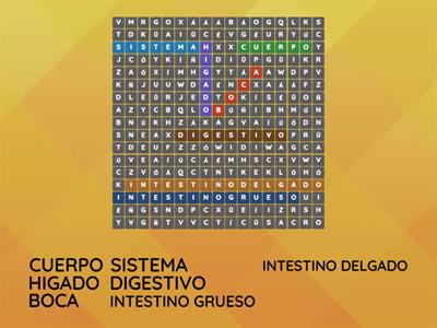 El sistema digestivo - Recursos didácticos