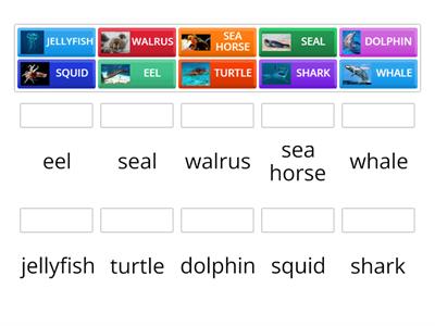 Animals Ocean - Teaching resources