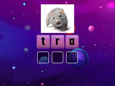 Build the word - Teaching resources