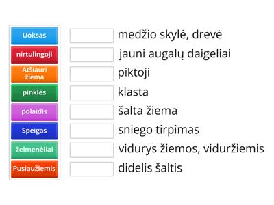 Teksto suvokimo - Mokymo ištekliai
