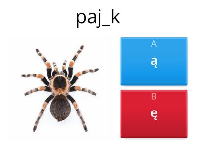 Klasa 6 Pisownia Ą ę om on em en - Materiały dydaktyczne