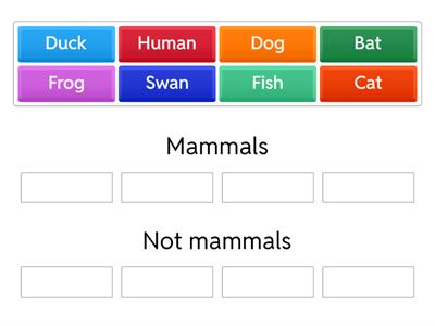 Mammals - Teaching resources