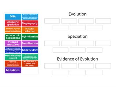 Evolution darwin - Teaching resources