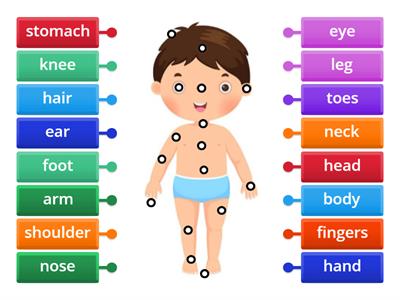 Parts of the body - Teaching resources