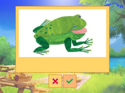 Brown bear brown bear - Teaching resources