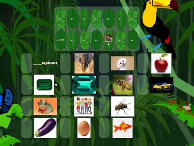 Bb dd - Teaching resources