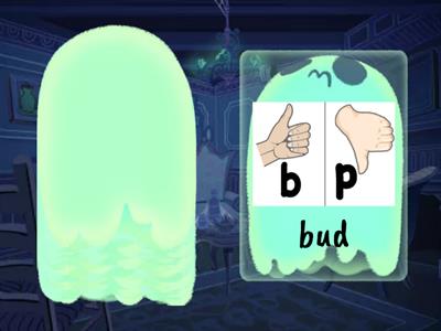 Phonics B and p - Teaching resources