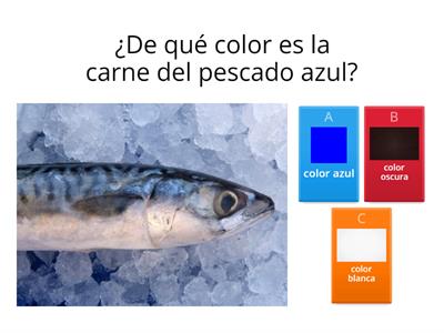 Los peces - Recursos didácticos