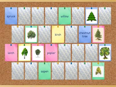 Trees - Teaching resources