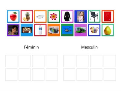 Masculin et féminin - Ressources pédagogiques