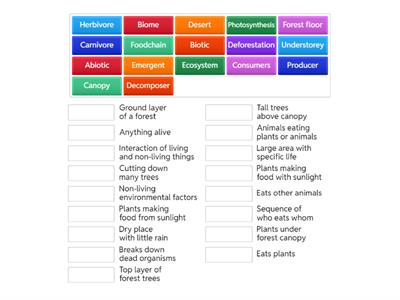 Ecosystem - Teaching resources