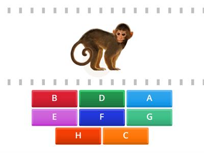 Abcdefgh - Teaching resources