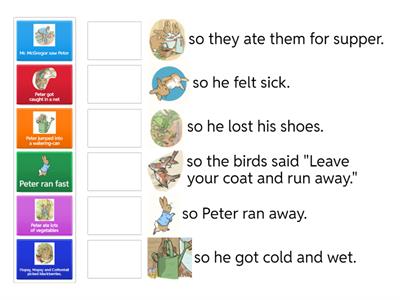 Rabbit - Teaching resources