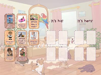 Possessions - Teaching resources