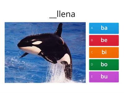 Silabas ba be bi bo bu - Recursos didácticos