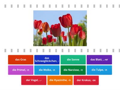 Frühling - Unterrichtsmaterialien