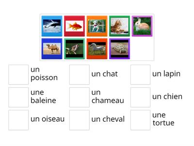 Les animaux - Teaching resources